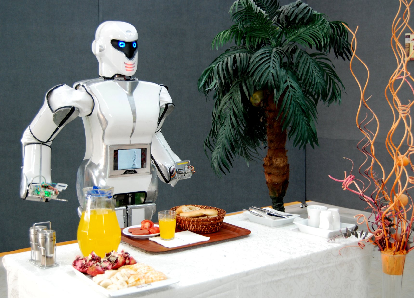 Erik dalı oynayan yerli insansı robot! - ShiftDelete.Net